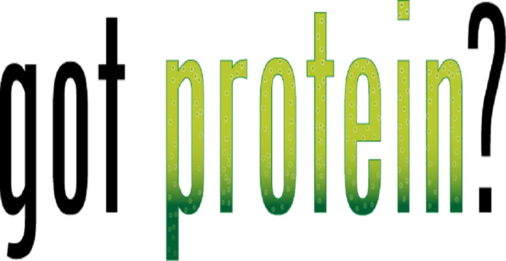 LOAD UP ON PROTEIN… AND THEY’RE NOT MEAT - MYANMORE