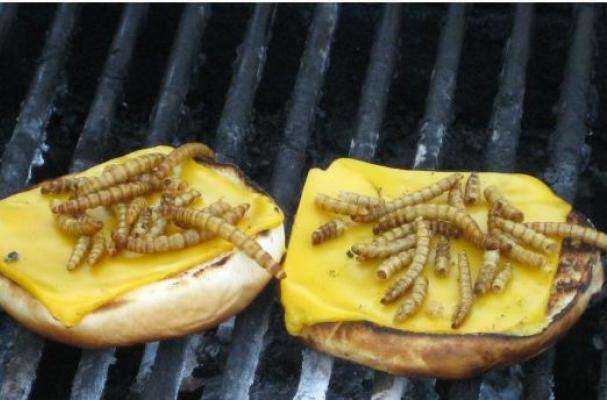 YUMMY CREEPY CRAWLIES - MYANMORE