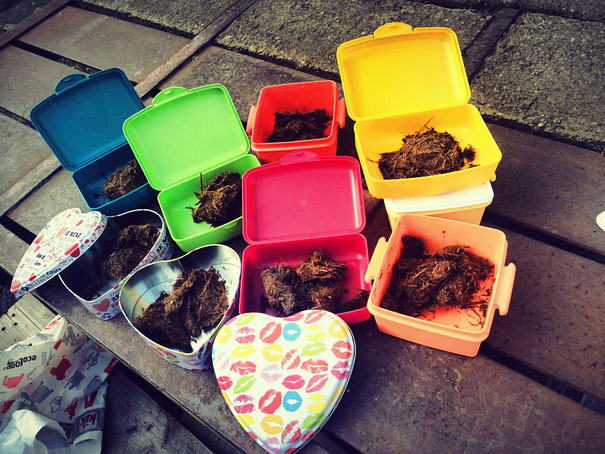 POOP DELIVERY NOW AVAILABLE WORLDWIDE - MYANMORE