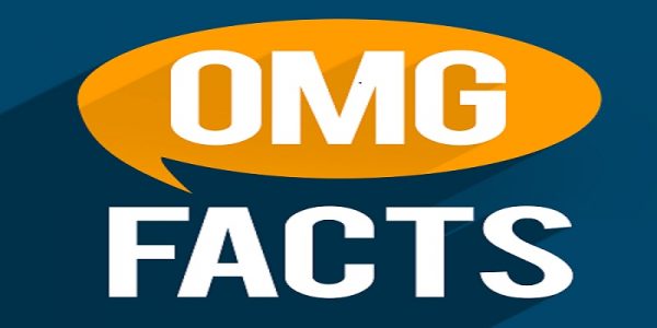 OMG FACTS - MYANMORE