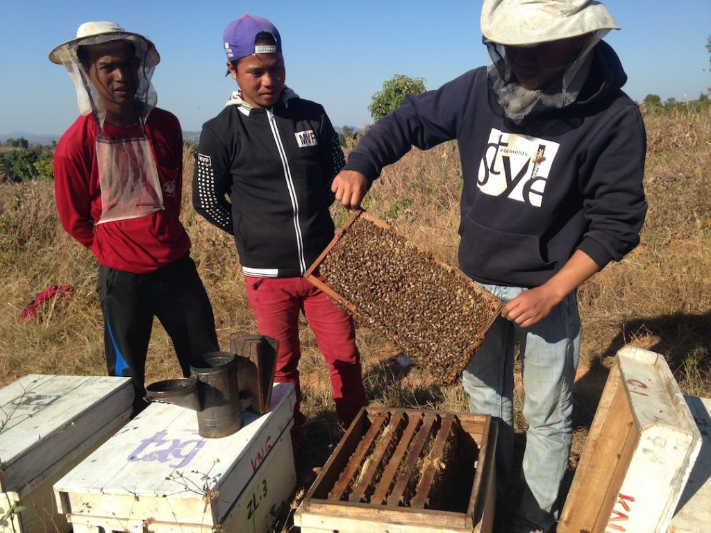 Plan Bee Opens Visitor Center, Welcomes Tourists To See Their Progress ...