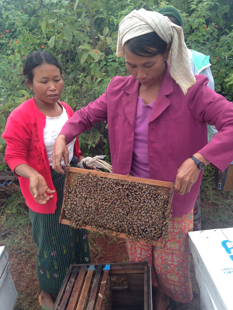 Plan Bee Opens Visitor Center, Welcomes Tourists To See Their Progress ...