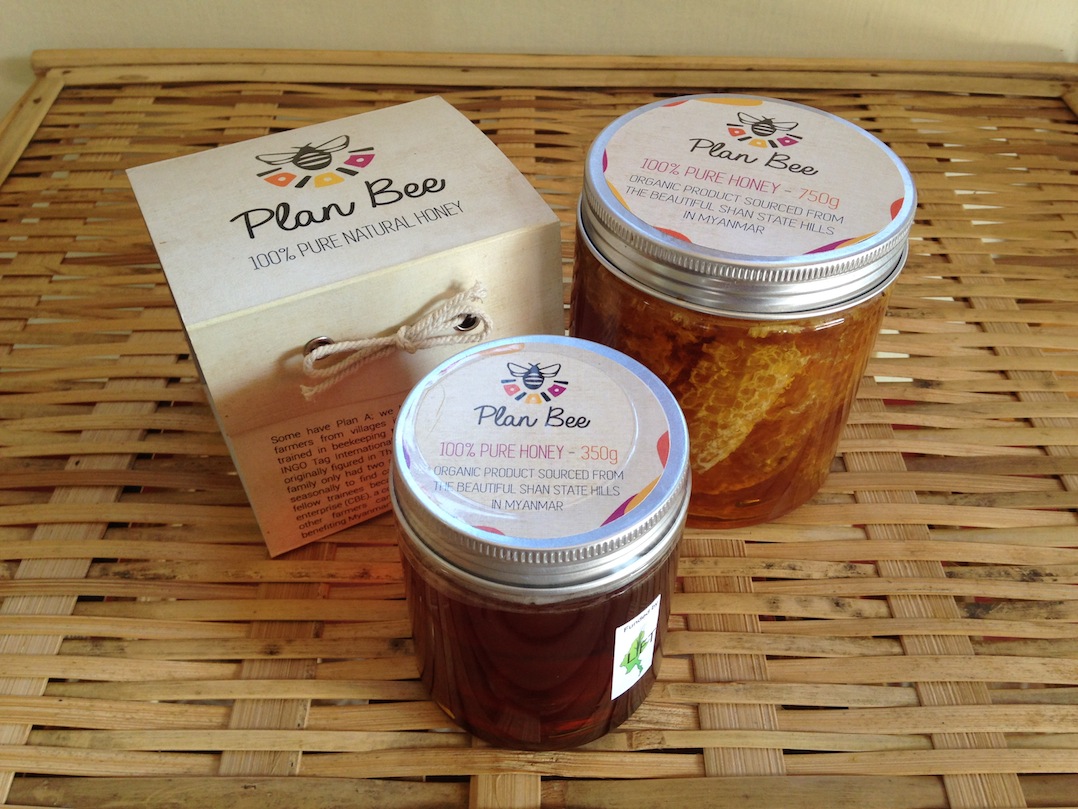 Plan Bee Opens Visitor Center, Welcomes Tourists To See Their Progress ...