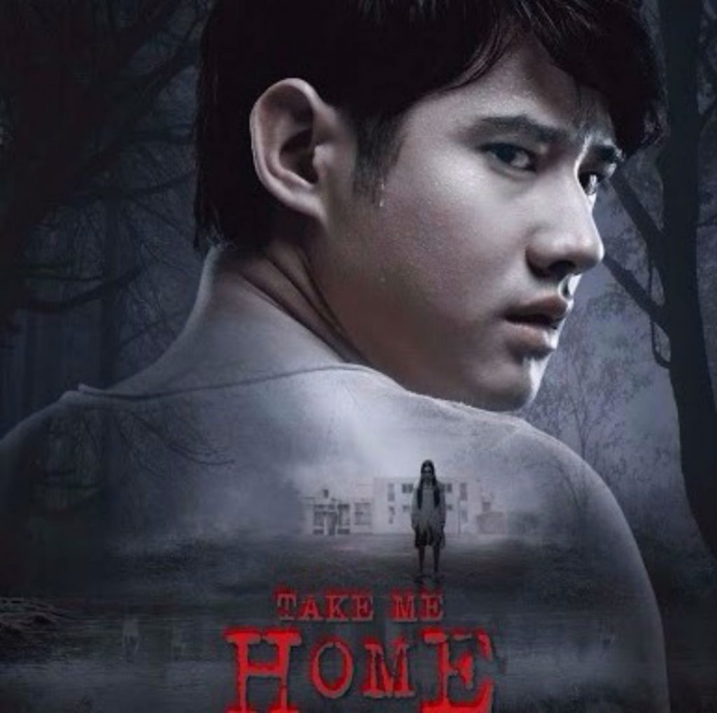 Take Me Home (2016 Movie) - MYANMORE