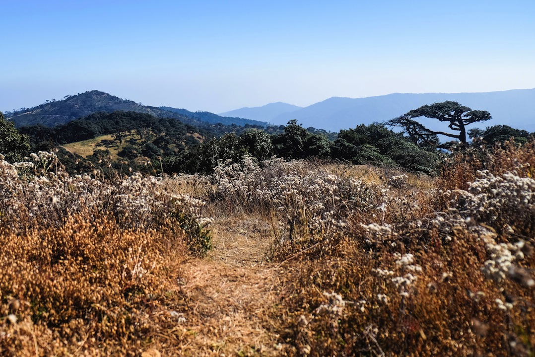 Climbing Mount Victoria in Chin State - MYANMORE