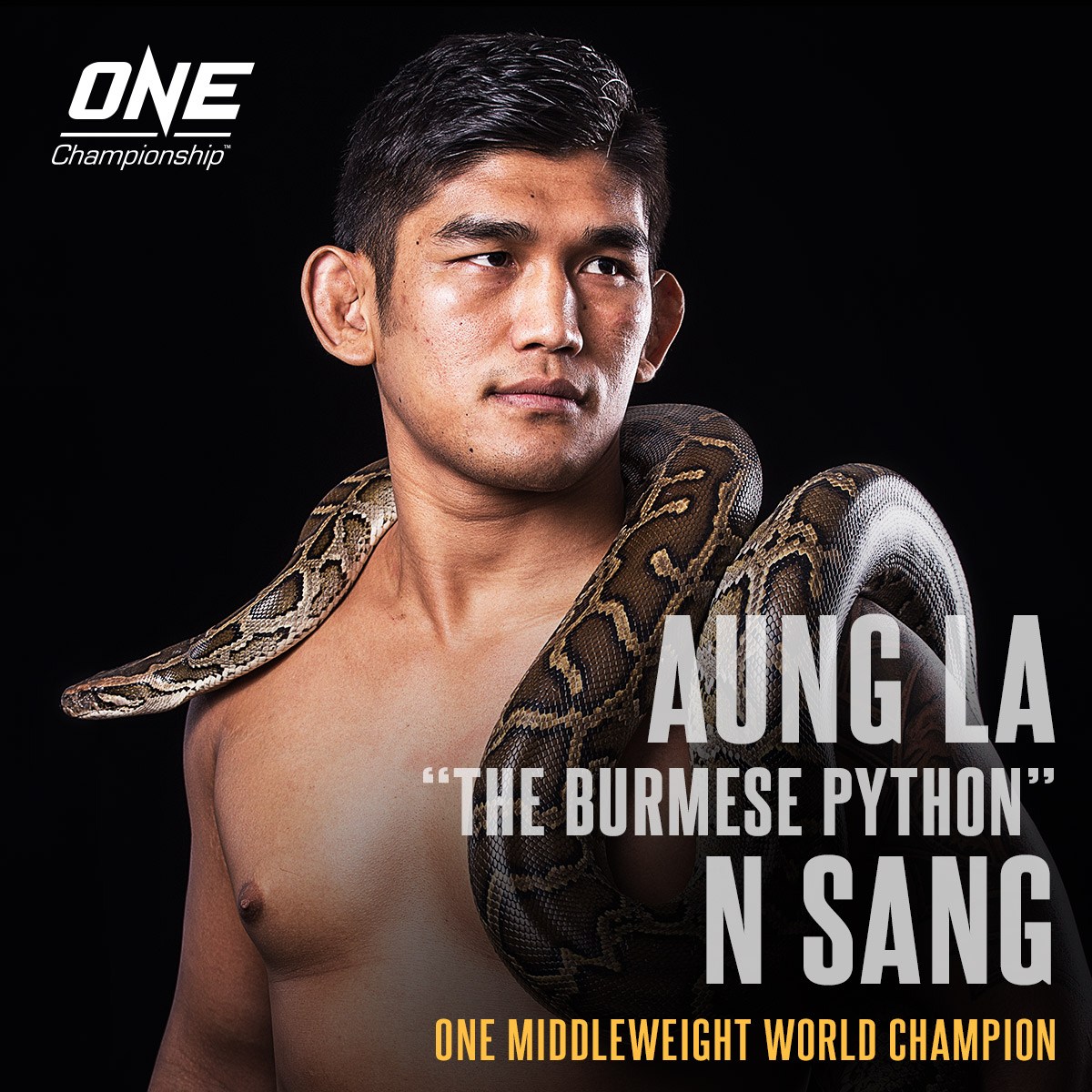 ONE Champion Aung La prepares for light heavyweight battle - MYANMORE