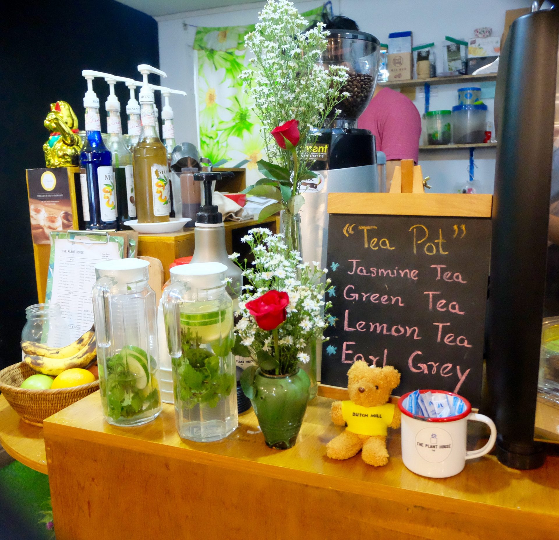 Plant House Cafe takes root - MYANMORE