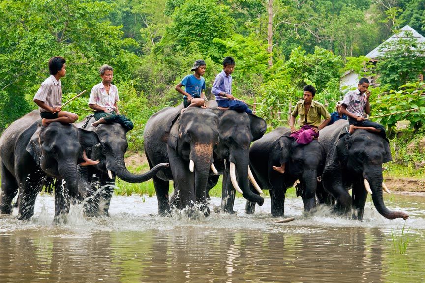 Wildlife sanctuaries and animal shelters in Myanmar - MYANMORE
