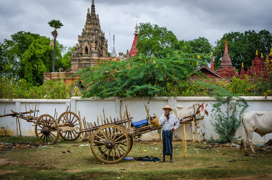 Exploring the Ayeyarwady river - MYANMORE