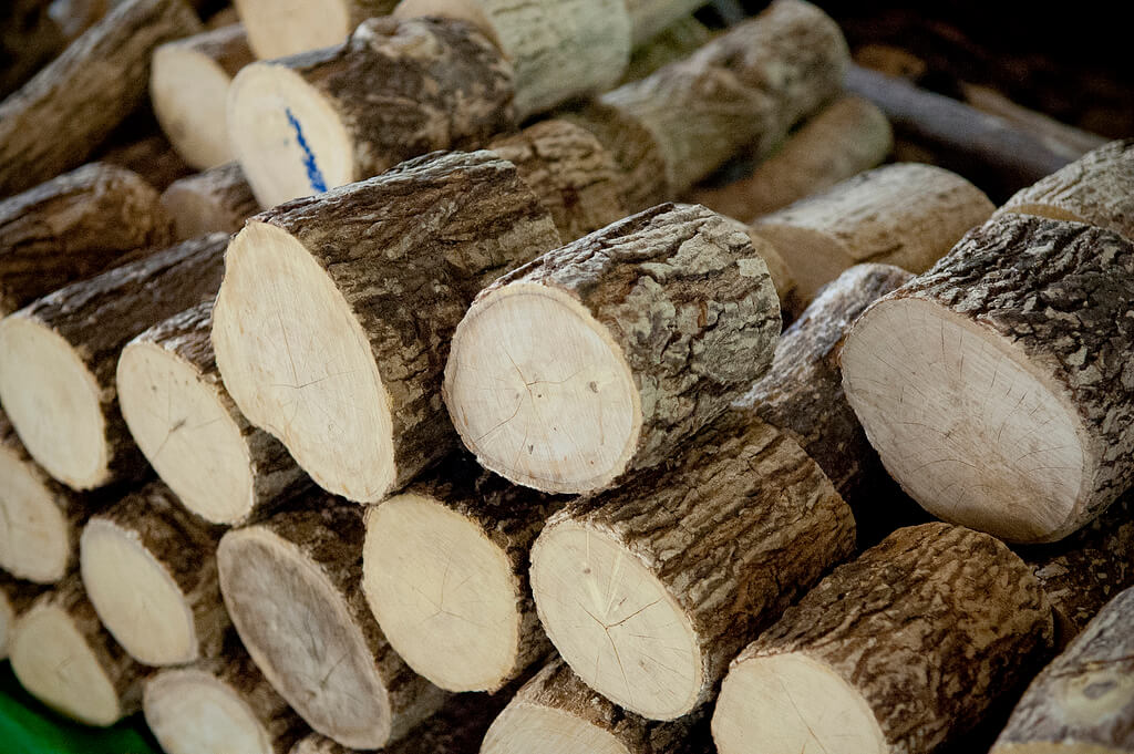 Thanakha and its role in current day Myanmar - MYANMORE