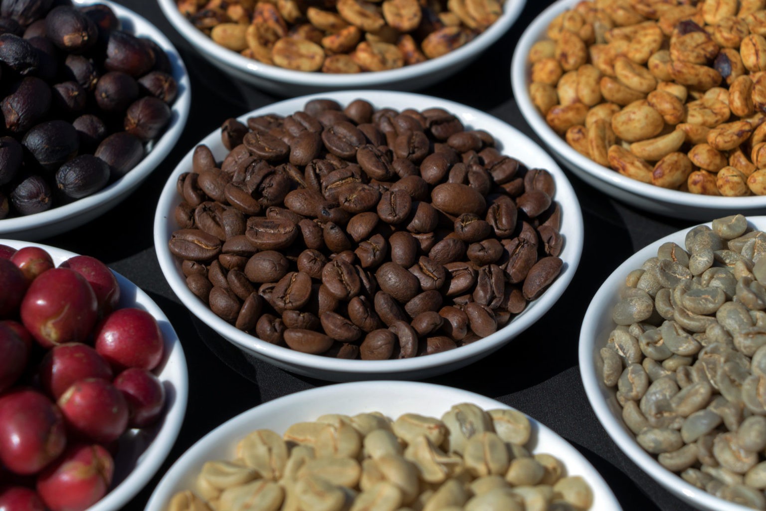 Amayar: Enriched coffee, empowered women - MYANMORE