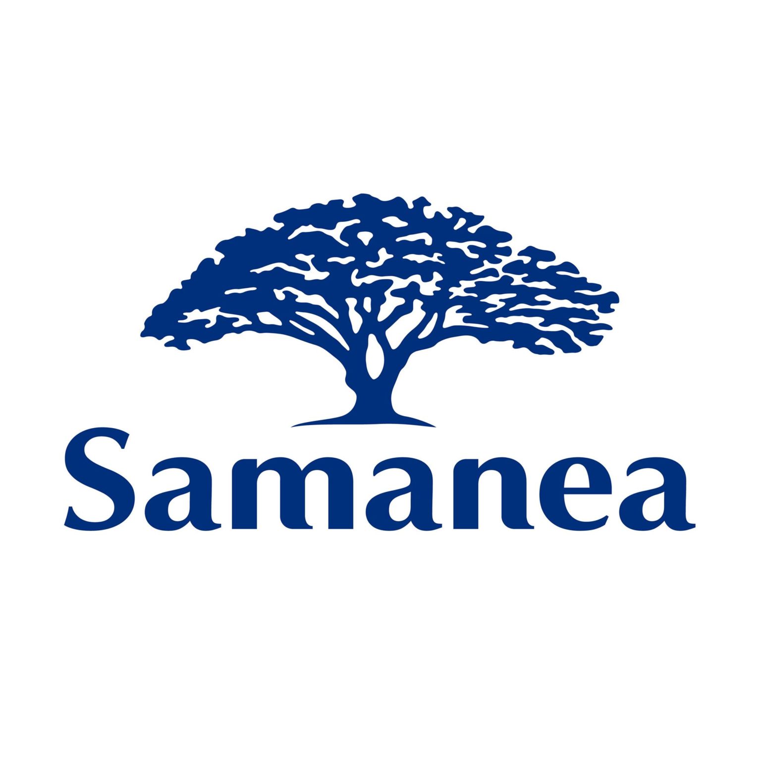 New Wholesale Facility in November - Samanea Yangon Market - MYANMORE