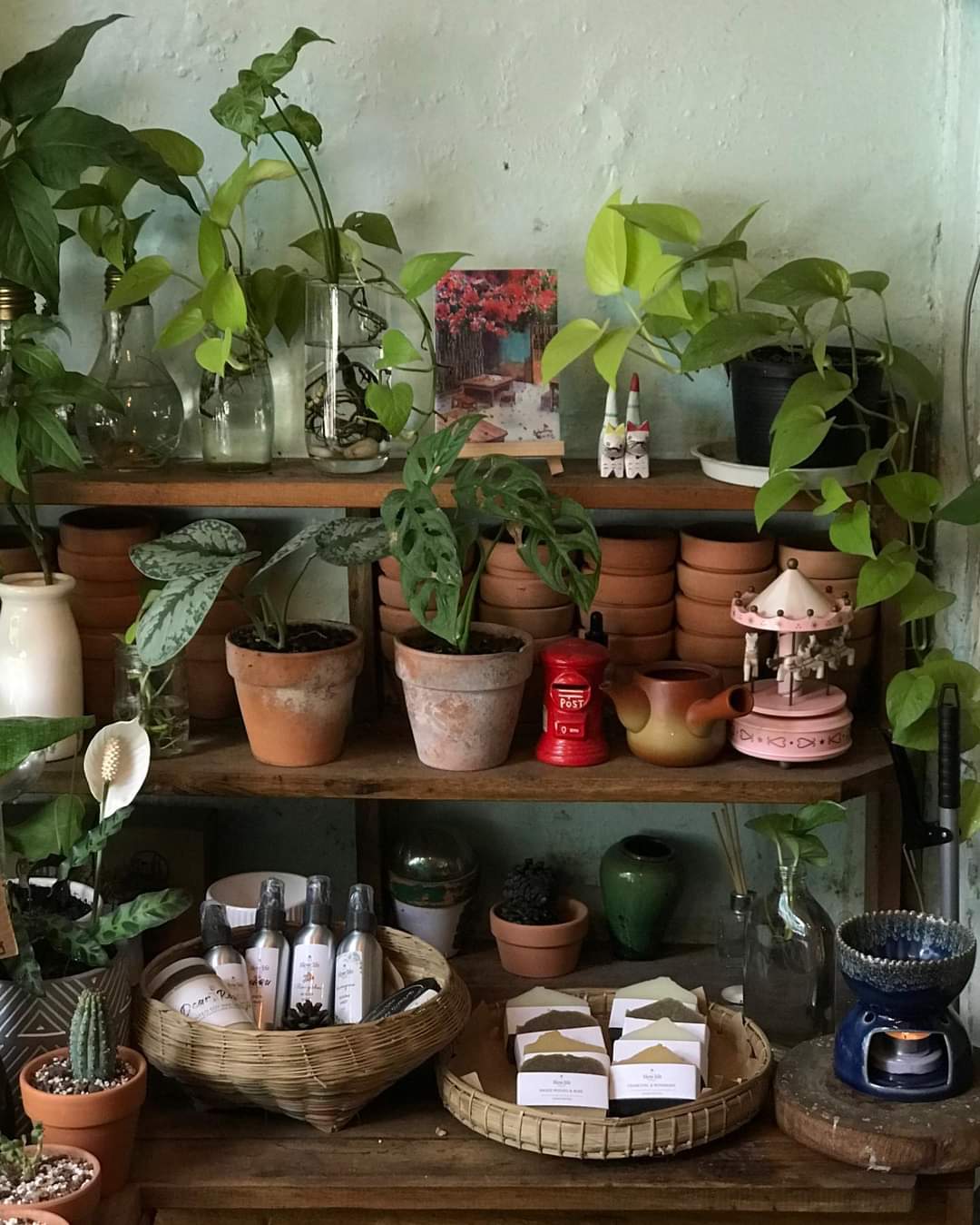 Books, Plants, Coffee and You - MYANMORE