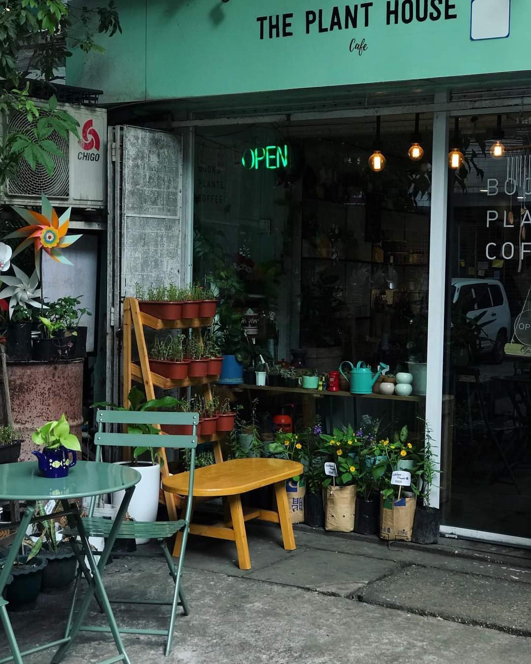 Books, Plants, Coffee and You - MYANMORE