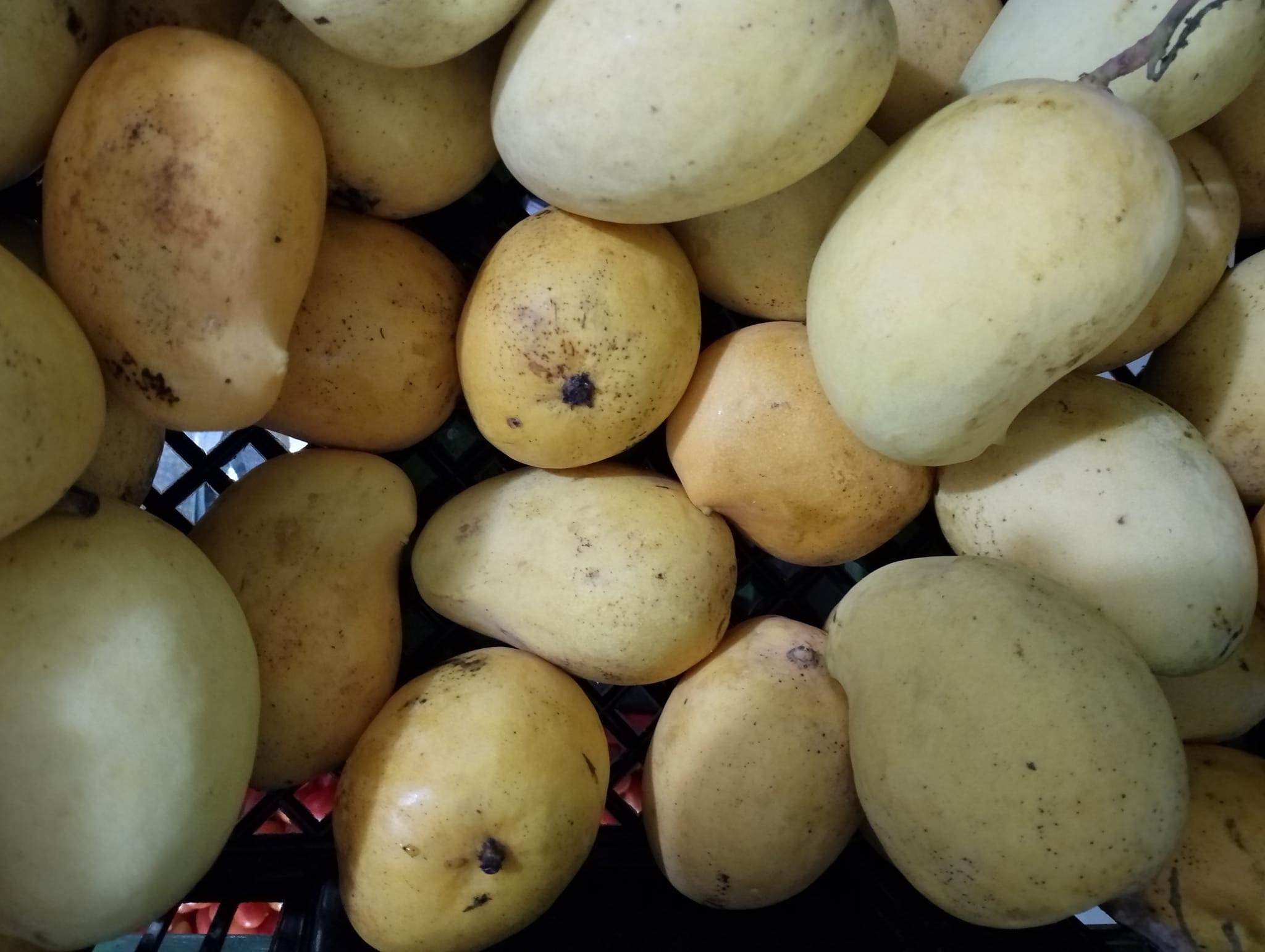 It's mango season! Shop at these spots - MYANMORE