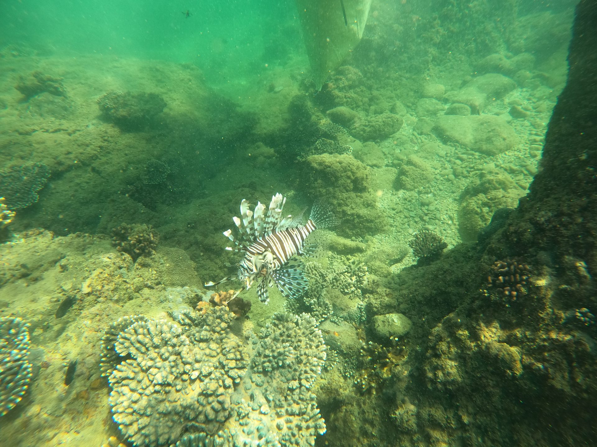 4th Beach Clean-up & Coral Conservation campaign - MYANMORE