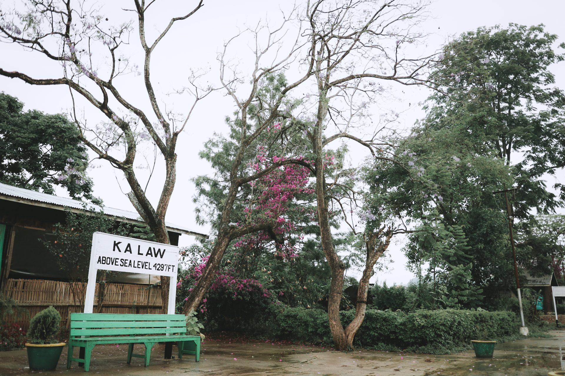 24 Hours in Kalaw - MYANMORE