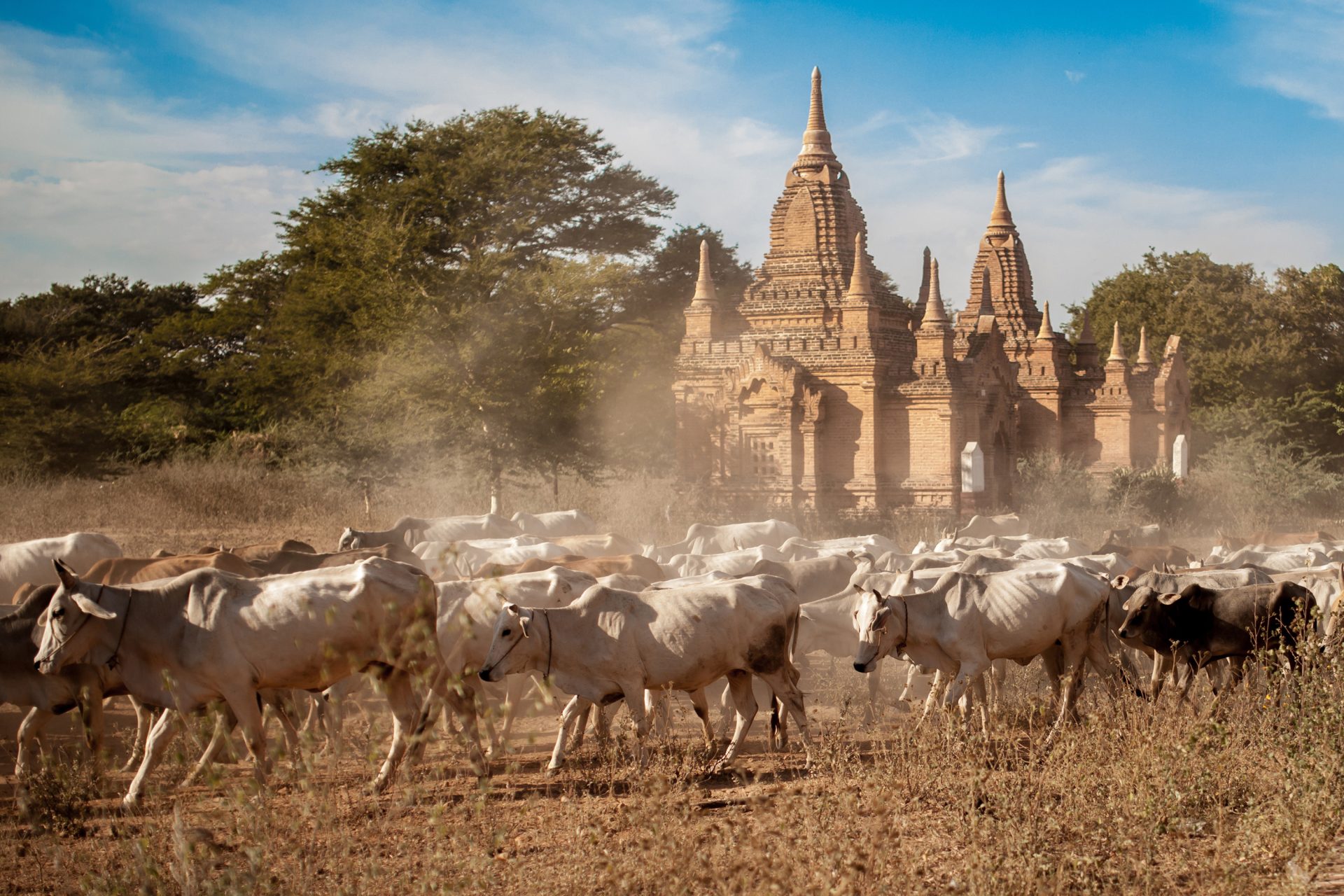 Travel this Thadingyut: Bagan, beach and beyond... - MYANMORE
