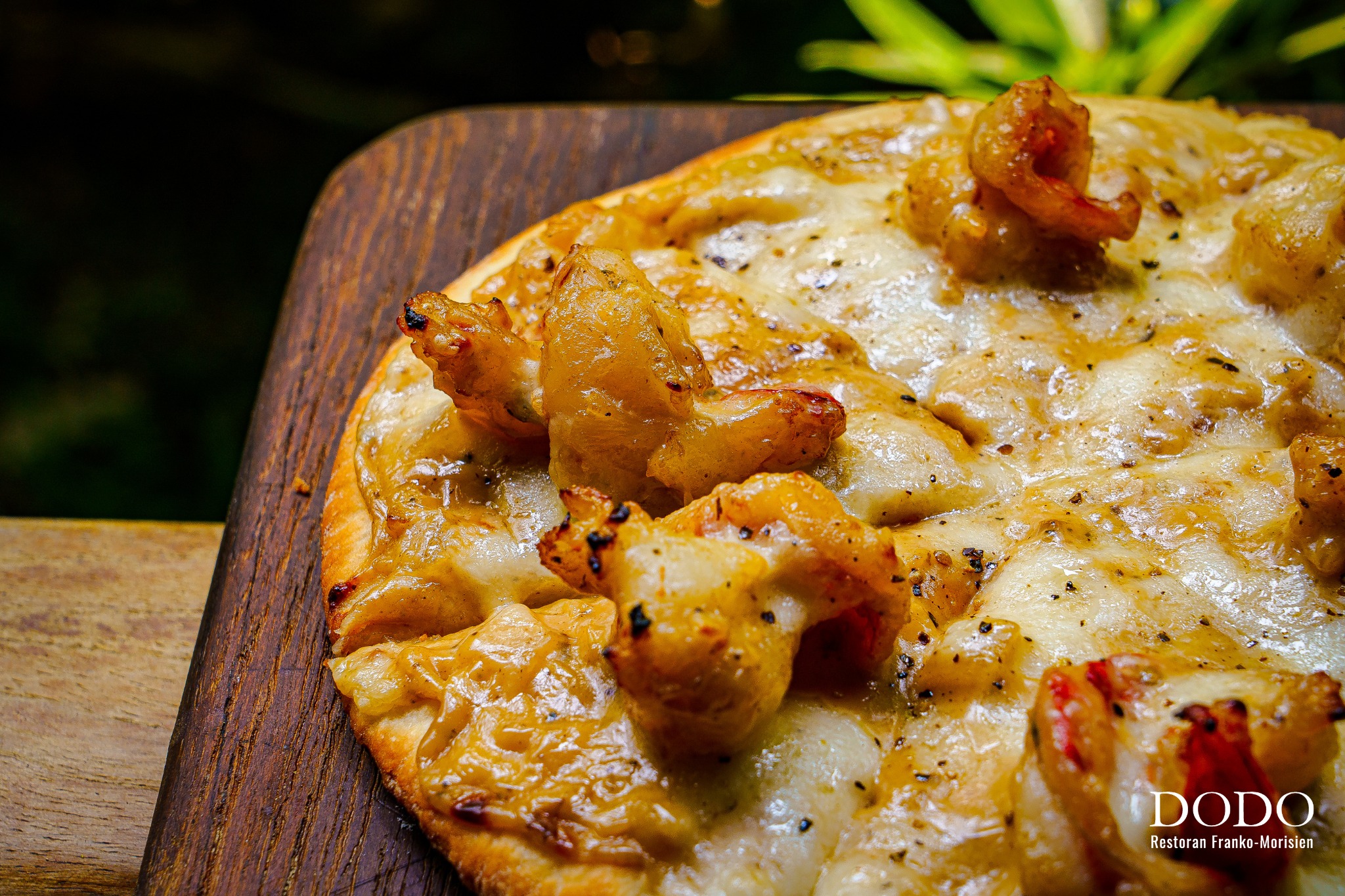 Dodo Restaurant Yangon – Where Comfort Food Meets Creative Vibes - MYANMORE