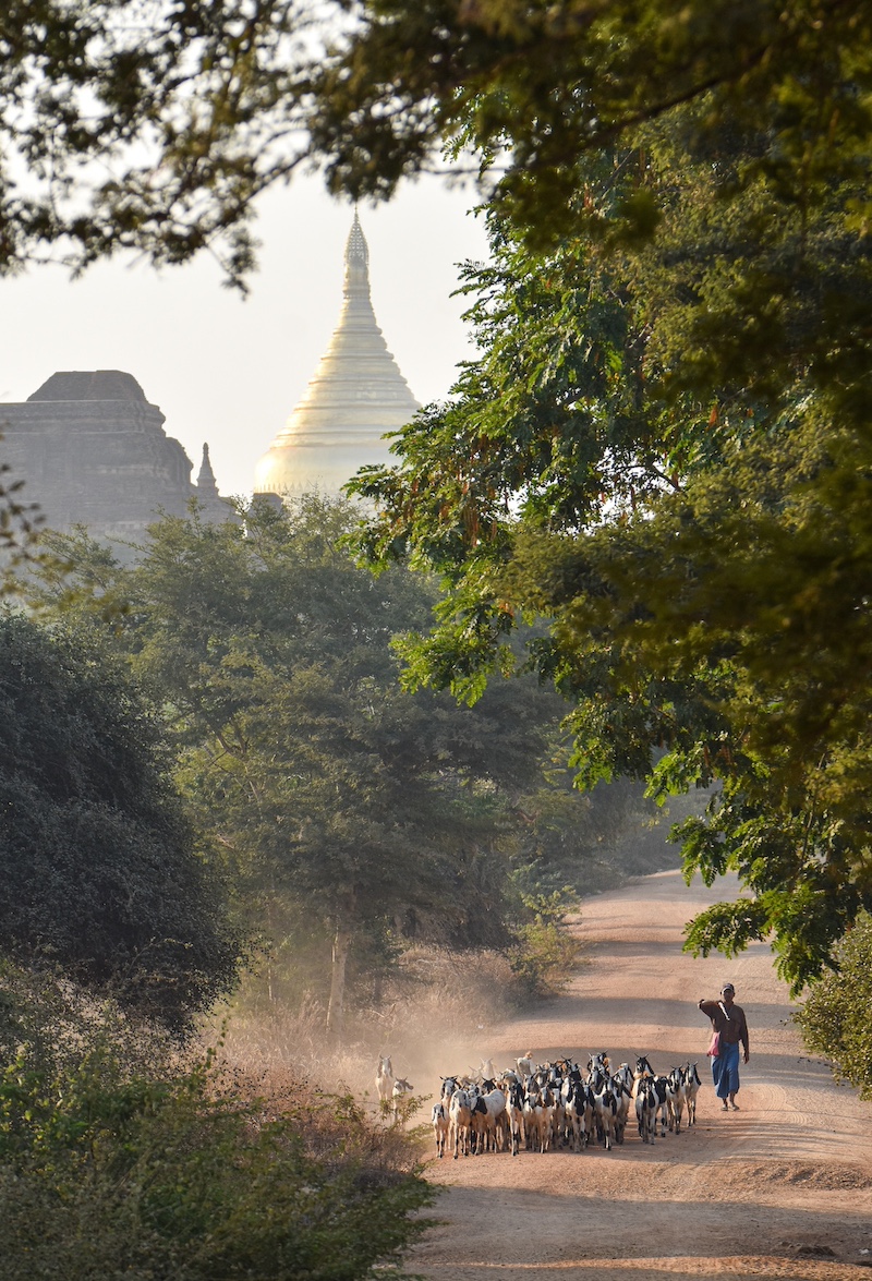 5 Unforgettable Experiences for Responsible Travel in Myanmar - MYANMORE